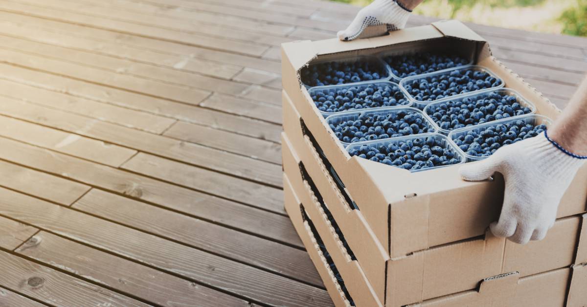 Everything You Need To Know About Gaylord Boxes