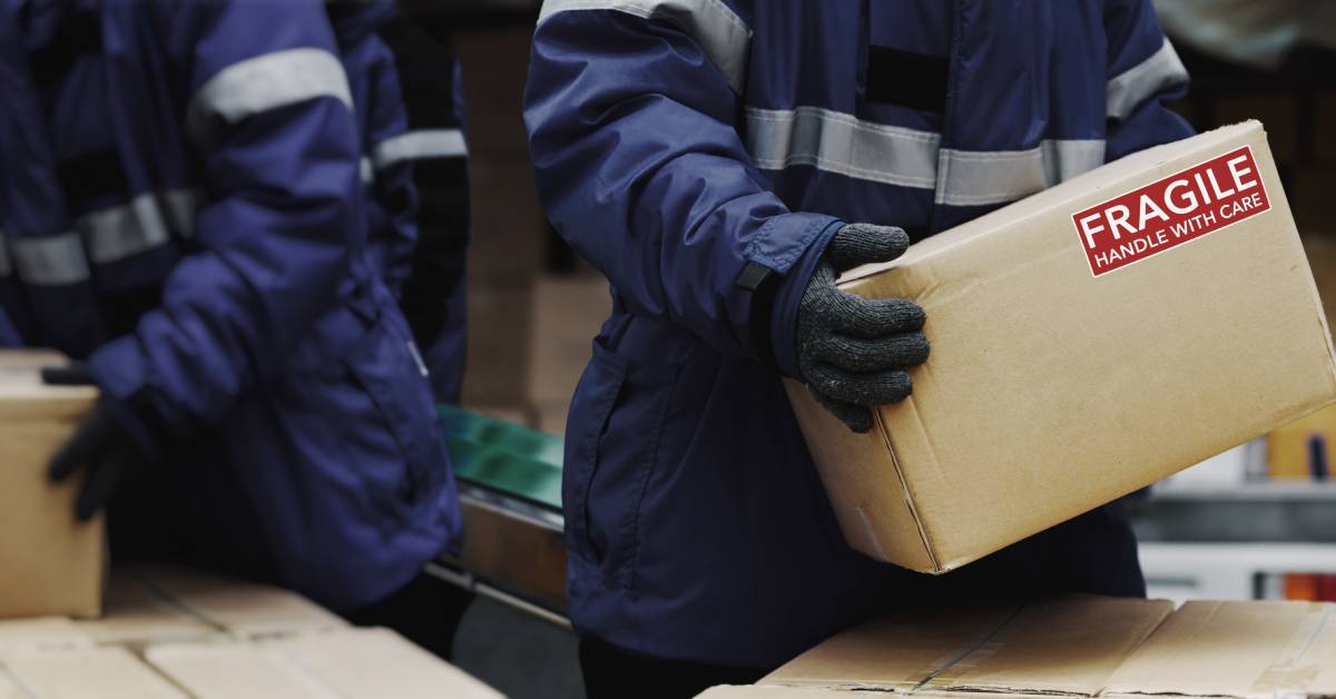 6 Wholesale Cardboard Box Types for Shipping Fragile Goods