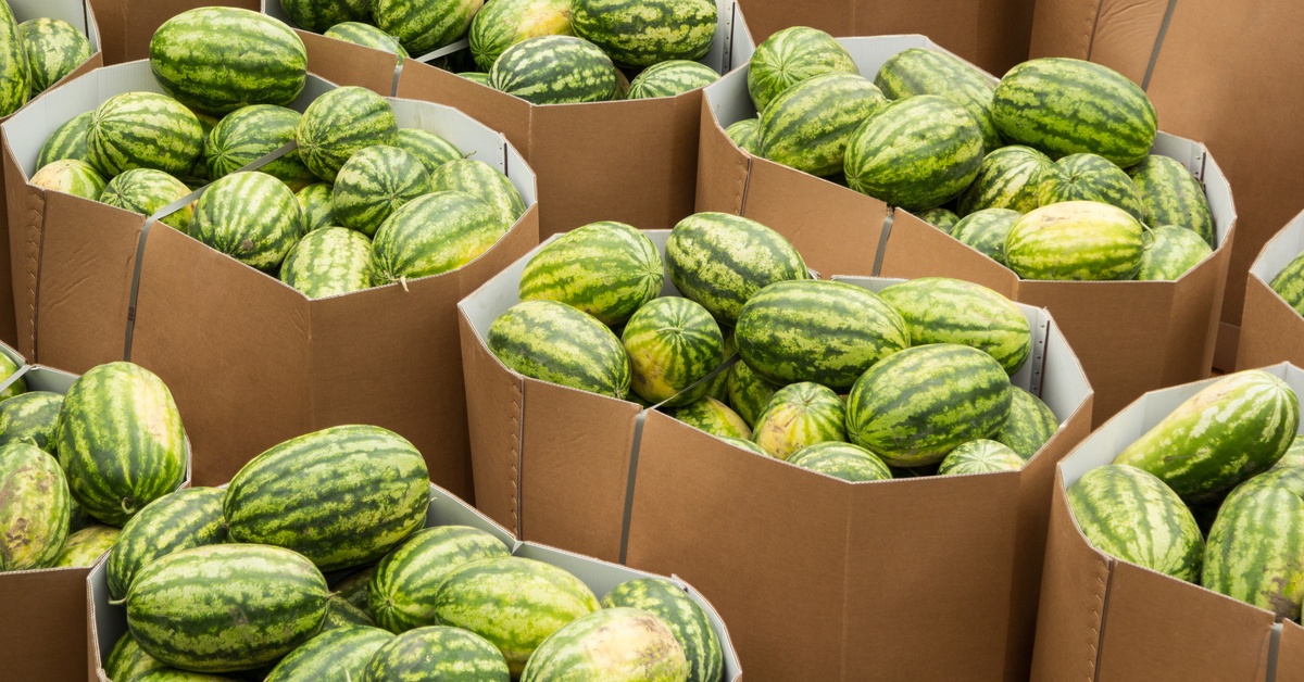 8 Reasons Why Cardboard Bulk Bins Reduce Crop Damage