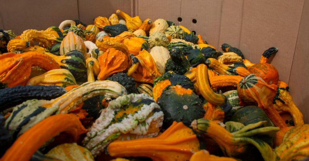 Should You Choose a Solid or Vented Bulk Produce Bin?